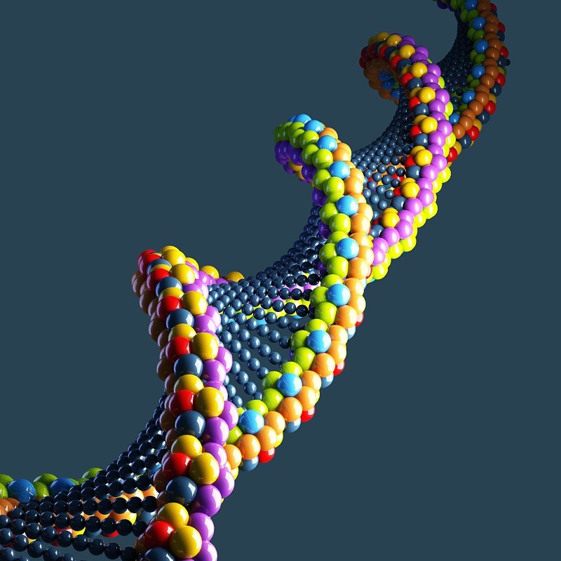 Dna 3d Model Dna 3d Model